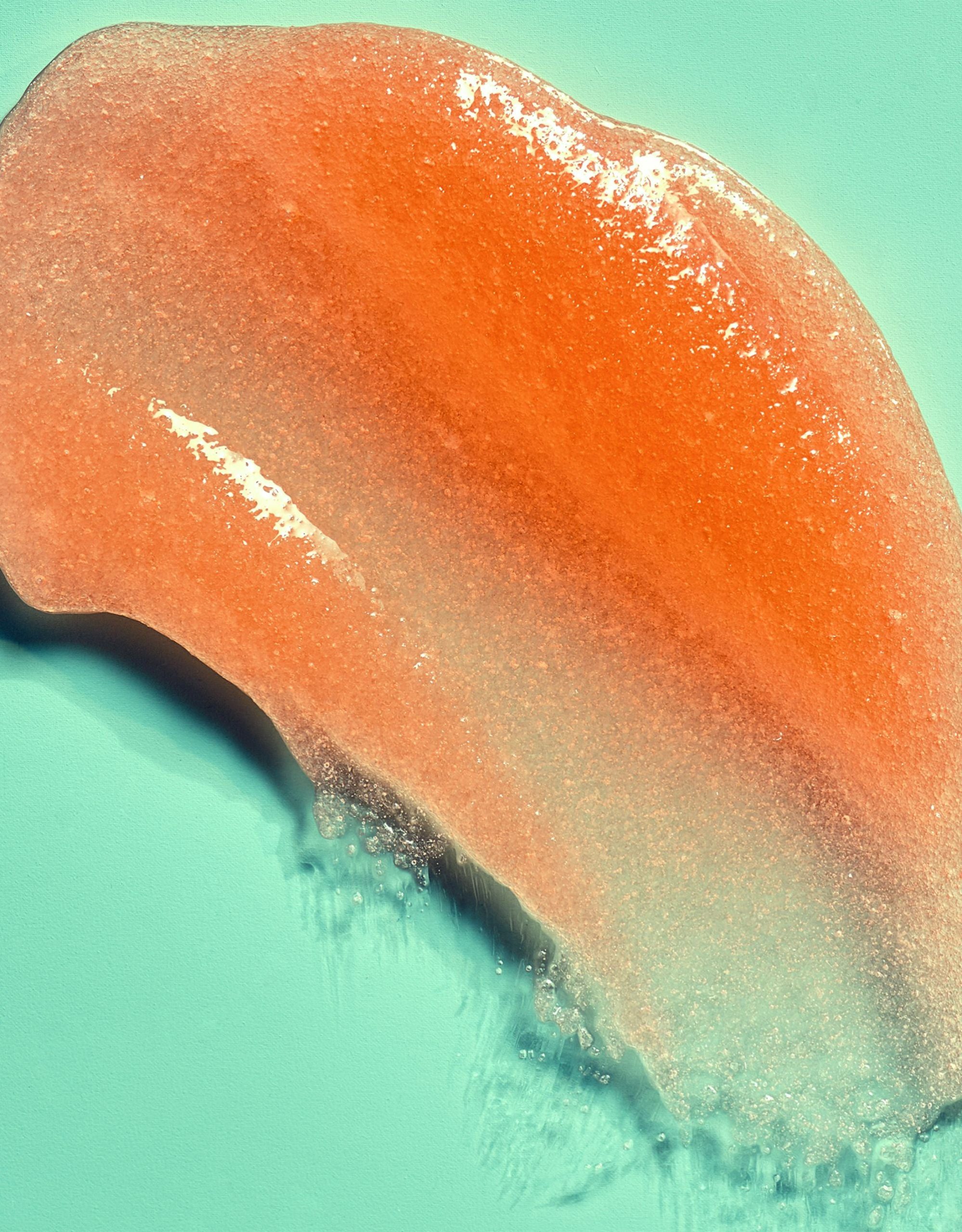 bikini reef shea sugar scrub – Tree Hut